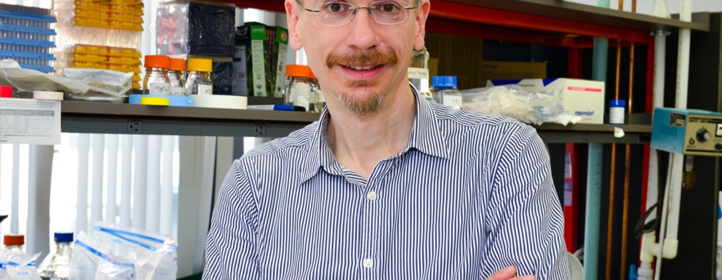 Thomas Biederer – Biederer Lab